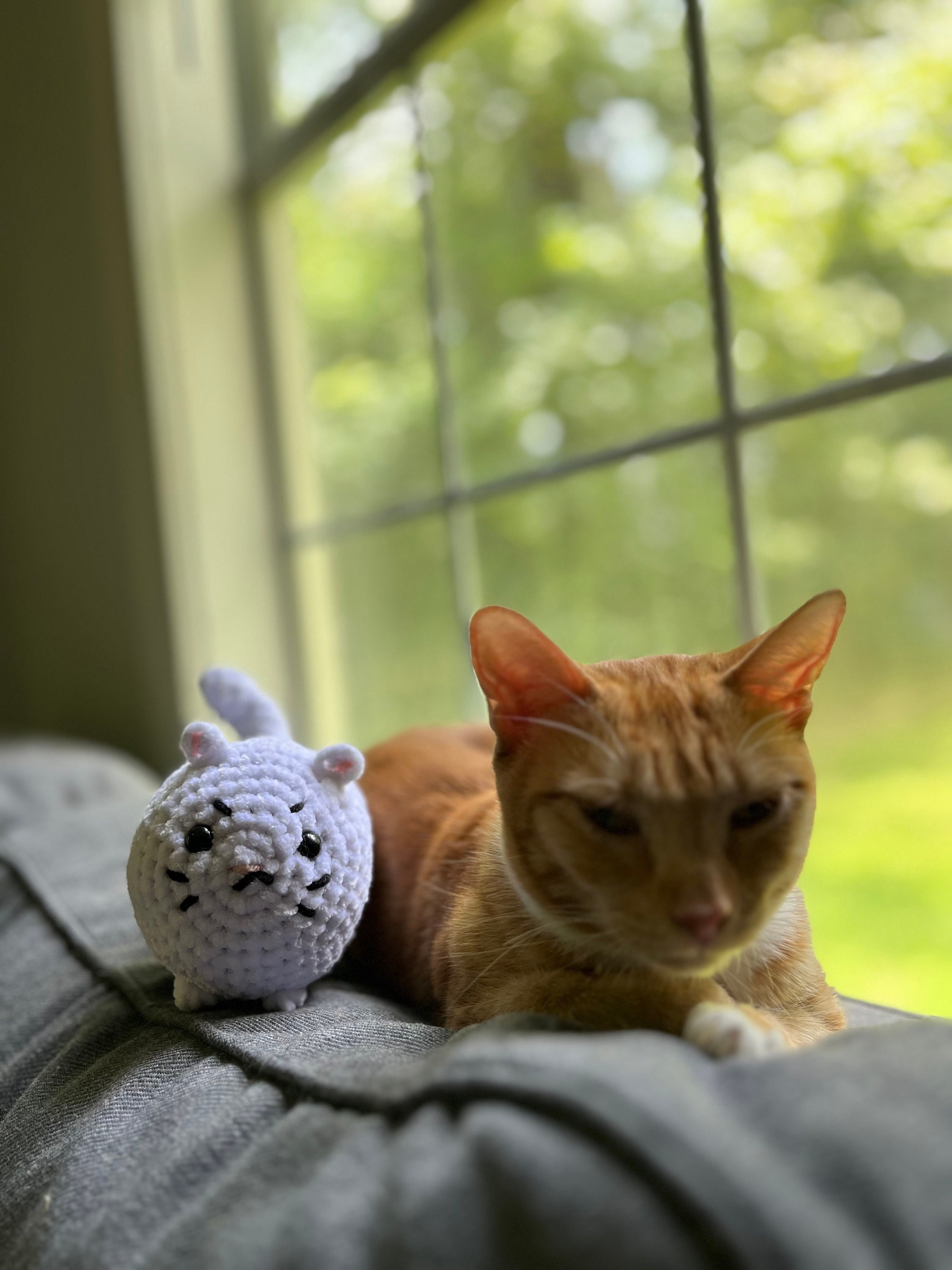 Angry Kitty Plushie - Etsy