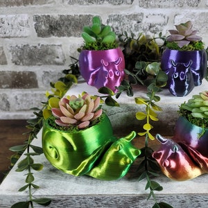 Snail Succulent Planter | Home Decor | Unique Gift | 3D Printed - Etsy