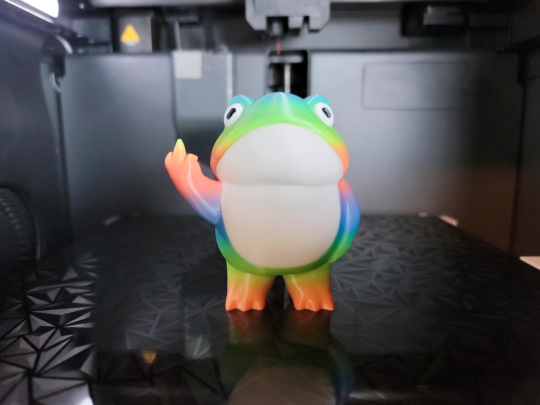 Cheeky Middle Finger Frog | Gag Gift | Fun Desk Toy | Stocking Stuffer ...