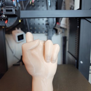 Collapsing Middle Finger | Gag Gift | Desk Toy | Fun Fidget Toy | 3D ...