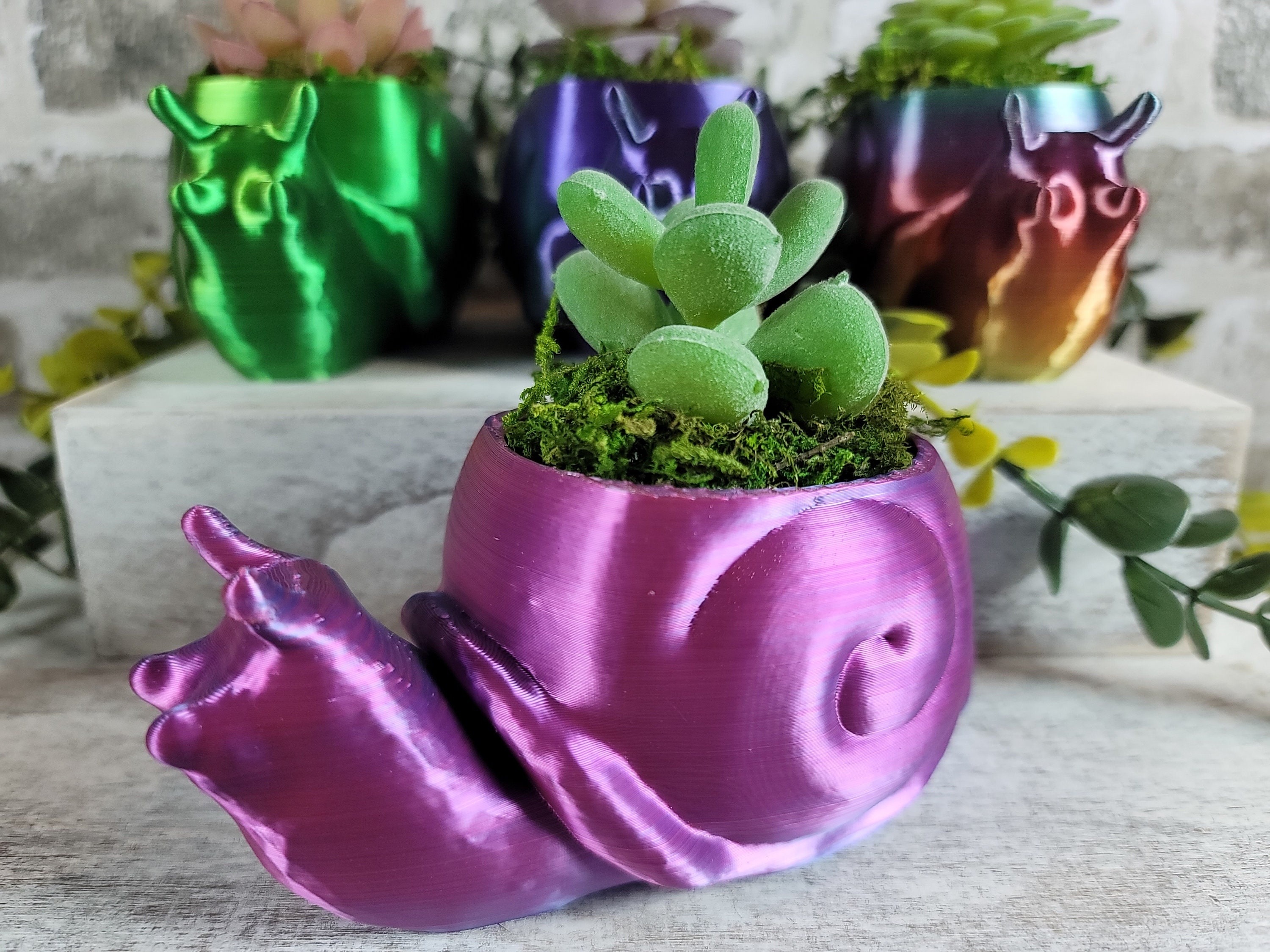 Snail Succulent Planter | Home Decor | Unique Gift | 3D Printed - Etsy