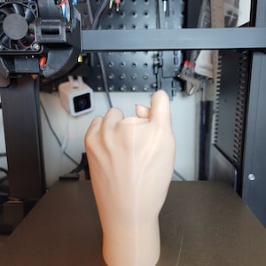 Collapsing Middle Finger | Gag Gift | Desk Toy | Fun Fidget Toy | 3D ...