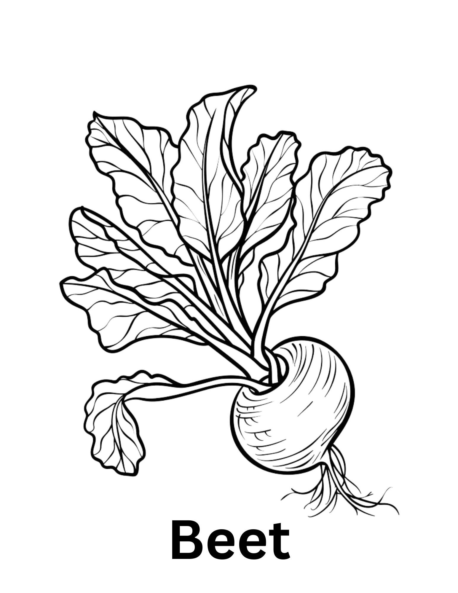 Vegetable Coloring Pages for Kids: Fun Learning Activity (digital ...