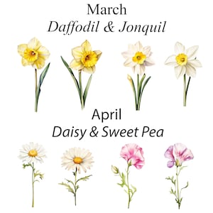 Birth Month Watercolor Flowers Clipart Bundle, Transparent PNG - Etsy
