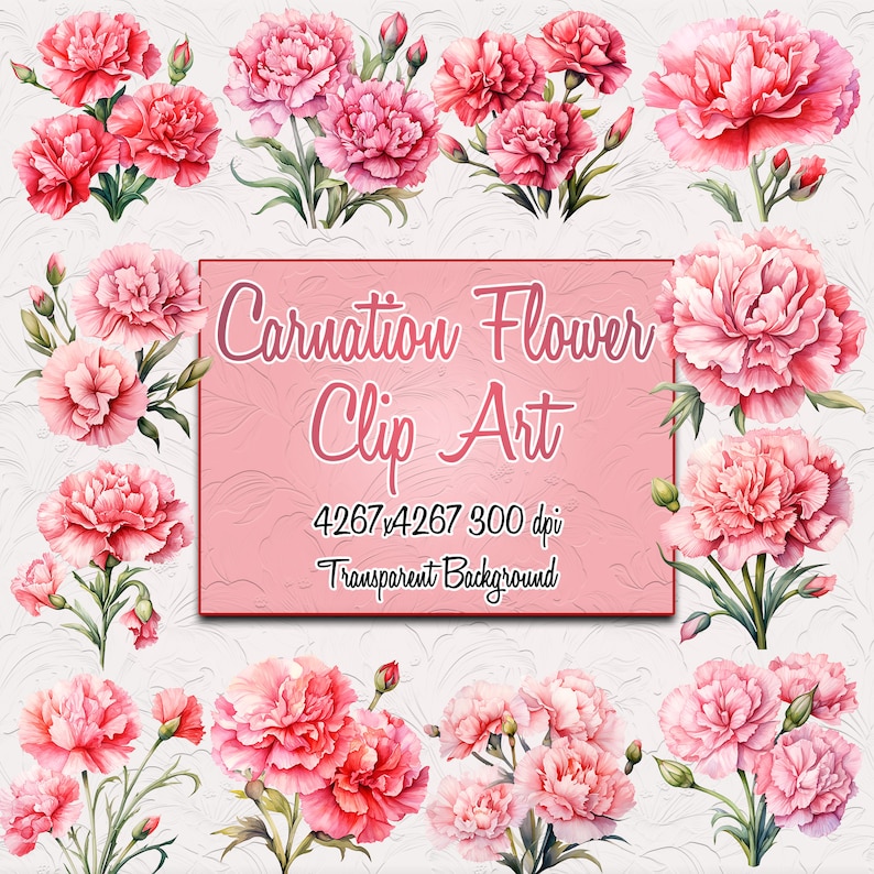 Watercolor Carnation Flower Clip Art 50 Bundle - Etsy