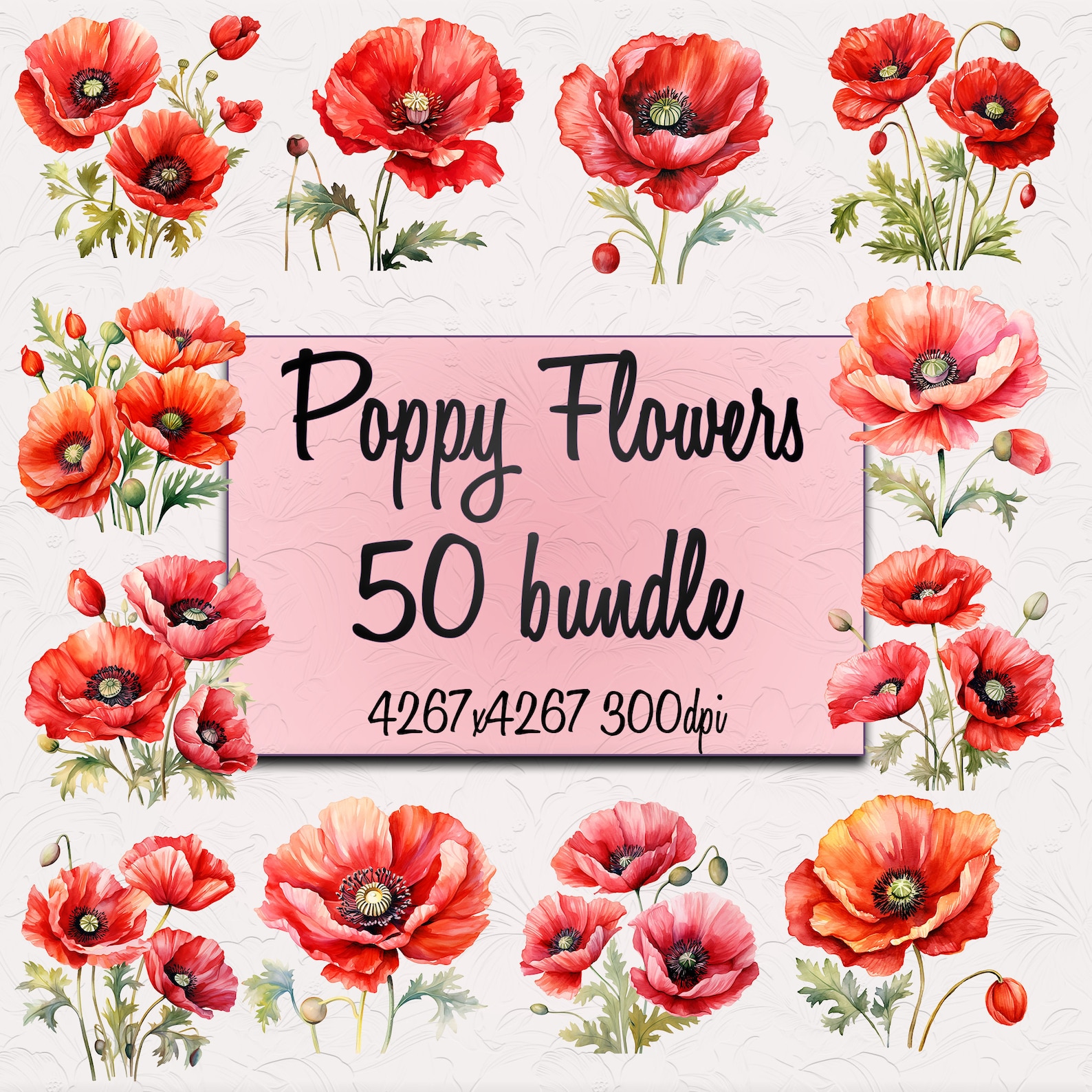Watercolor Poppy Flower Clip Art 50 Bundle - Etsy