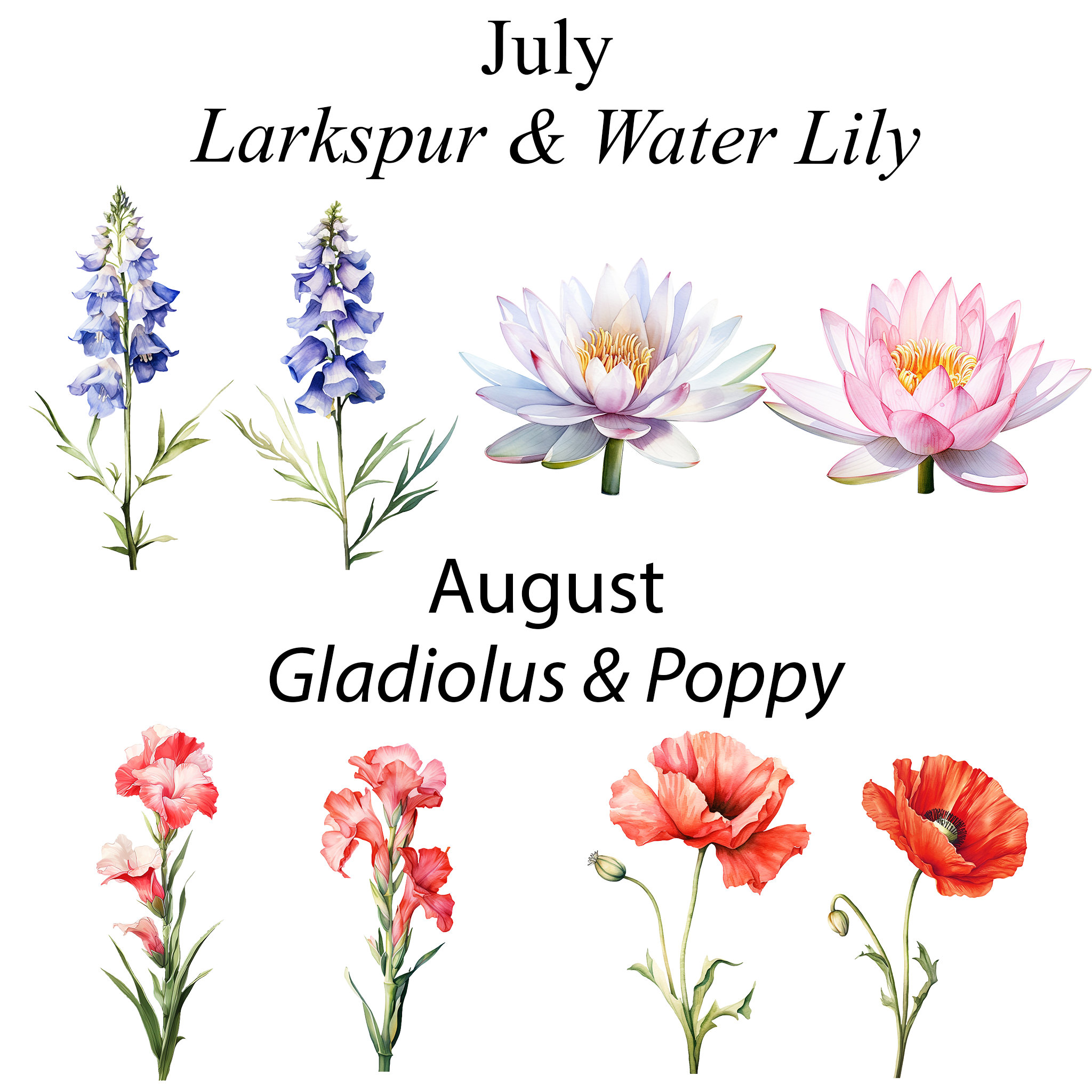Birth Month Watercolor Flowers Clipart Bundle, Transparent PNG - Etsy