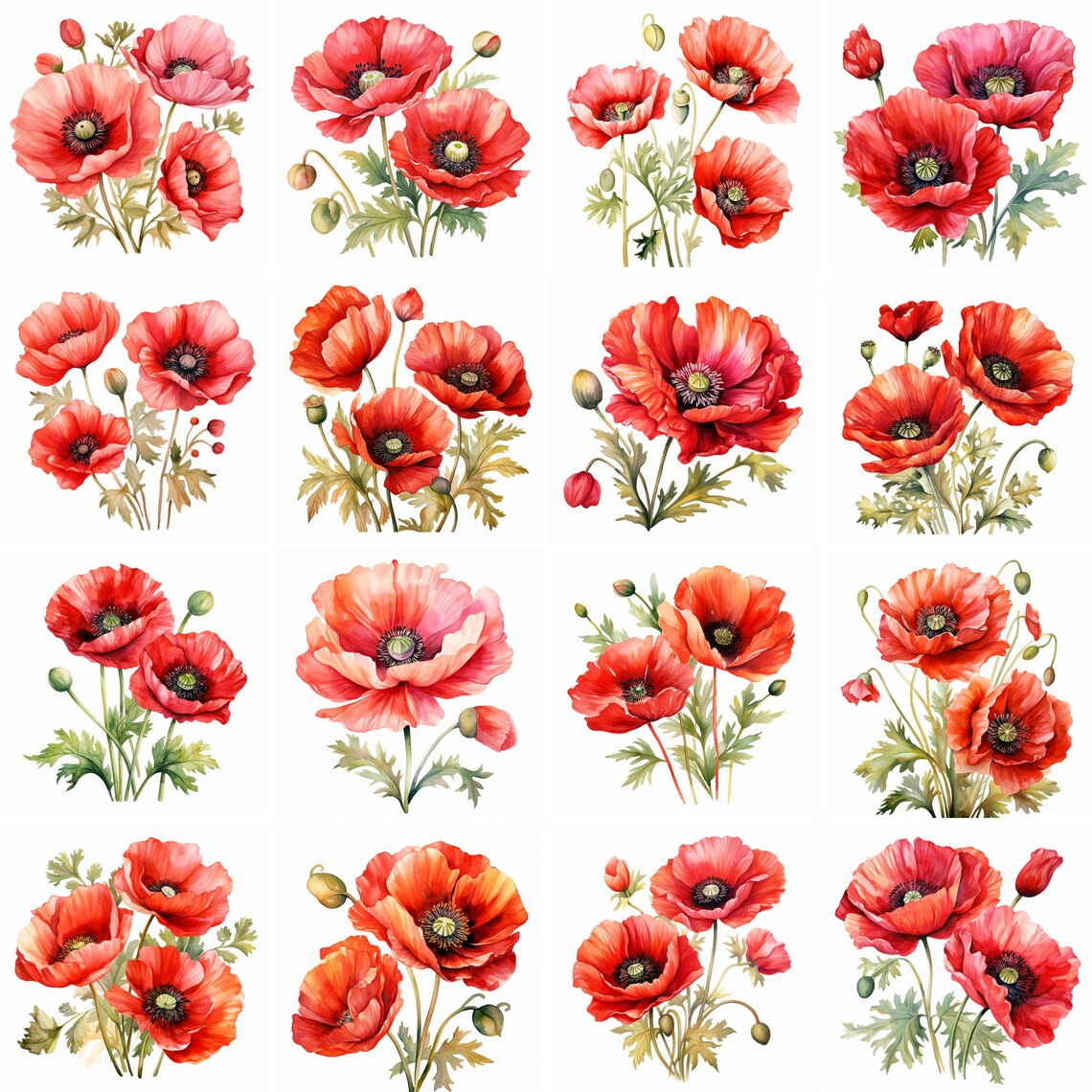 Watercolor Poppy Flower Clip Art 50 Bundle - Etsy
