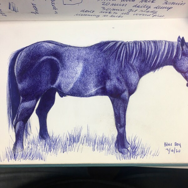 Pen and Ink Horse Art - Etsy