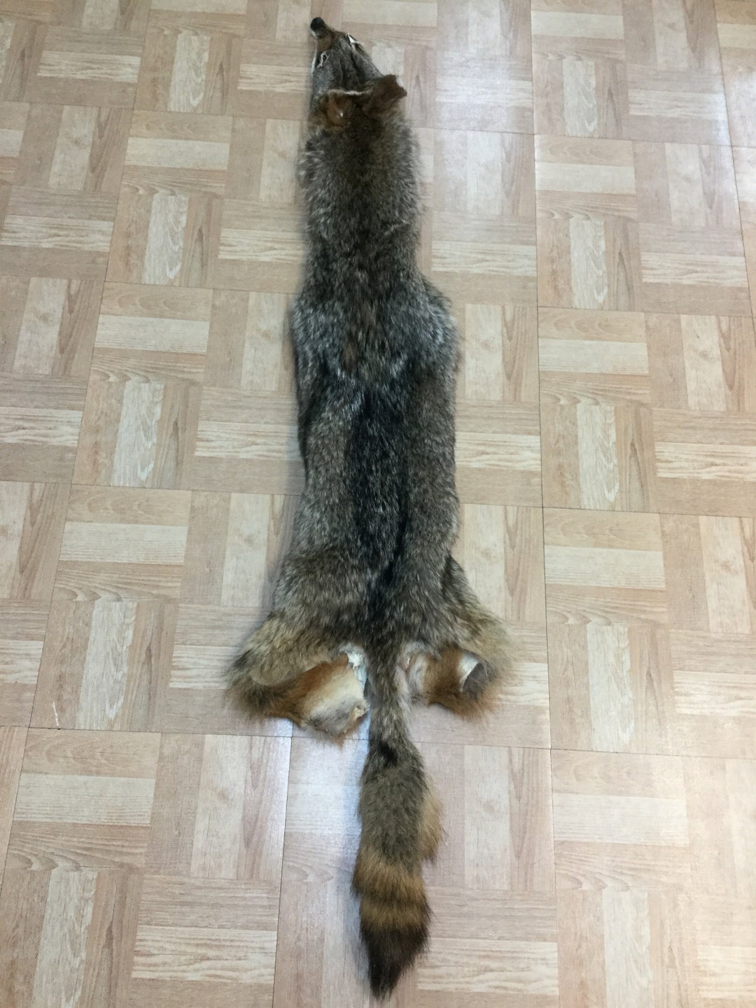 Coyote Skin Fur Pelt Hide Craft Regalia Viking Cosplay LARP Hat Making ...