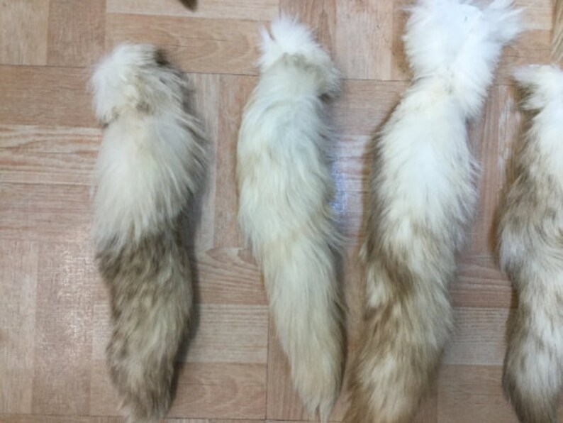 Lot of 10 Bleached Kitt Fox Tails Craft Costume Fur Fly Tying LARP ...