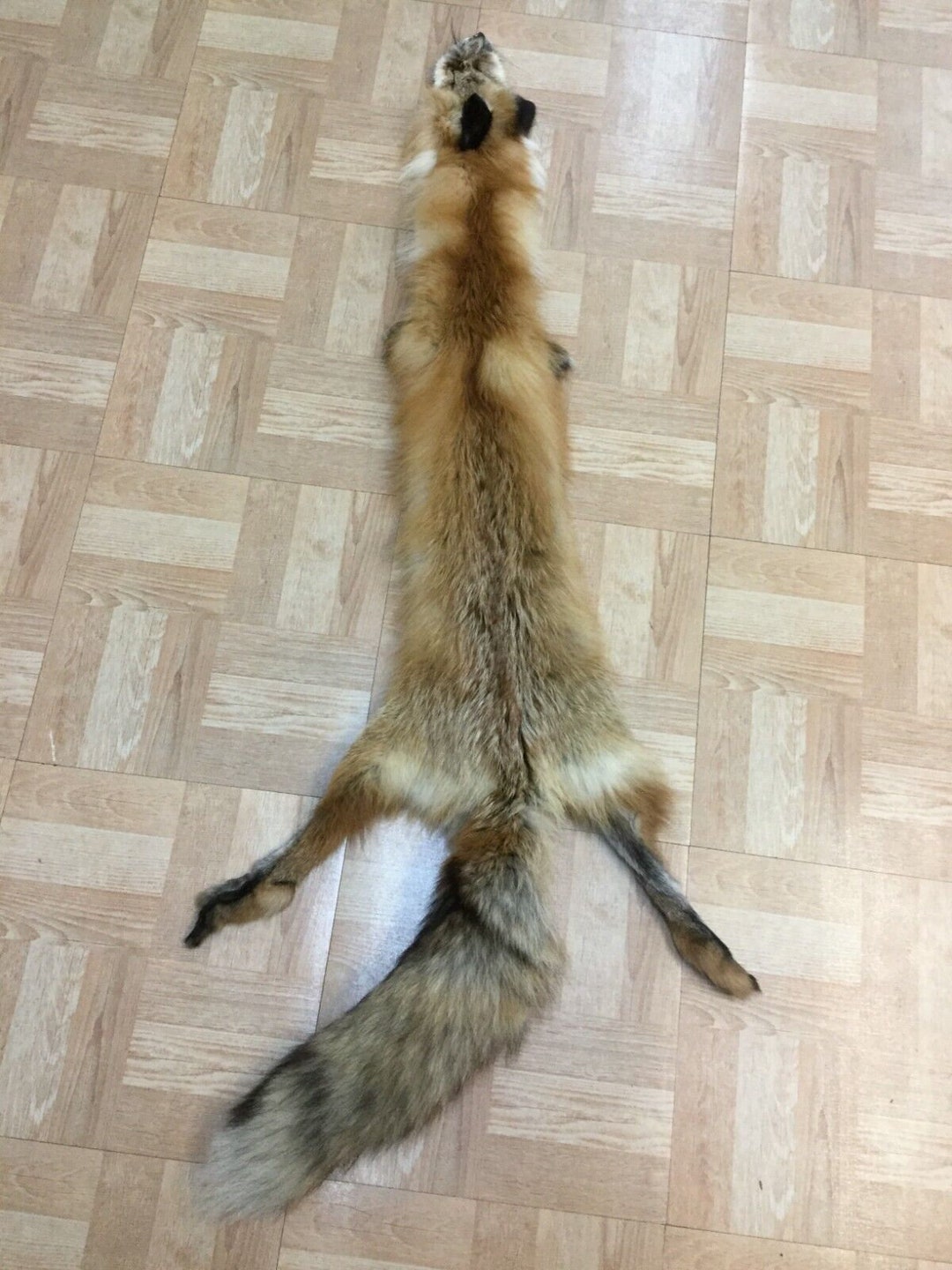 Tanned RED FOX Fur Pelt Hide Skin Craft Regalia Cosplay LARP Viking ...