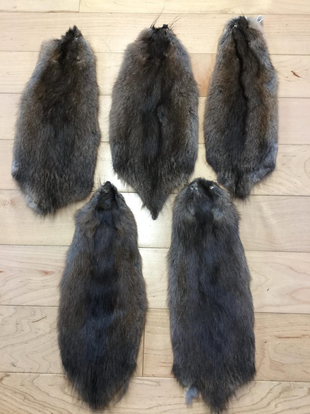 5 Muskrat Skins Fur Trim Lining Regalia Viking Craft LARP Cosplay Fly ...