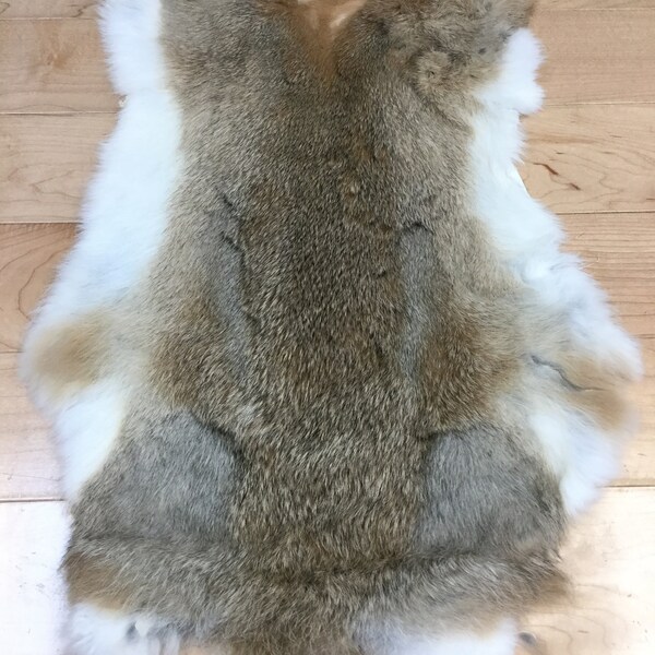 Rabbit Pelt - Etsy