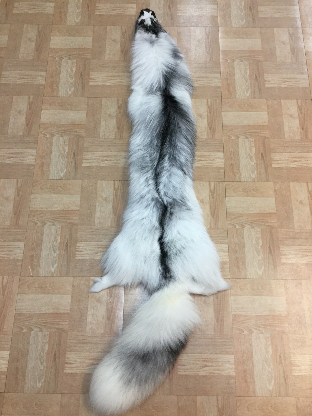 Tanned Arctic Marble Fox Fur Pelt Hide Skin Craft Regalia Cosplay LARP ...