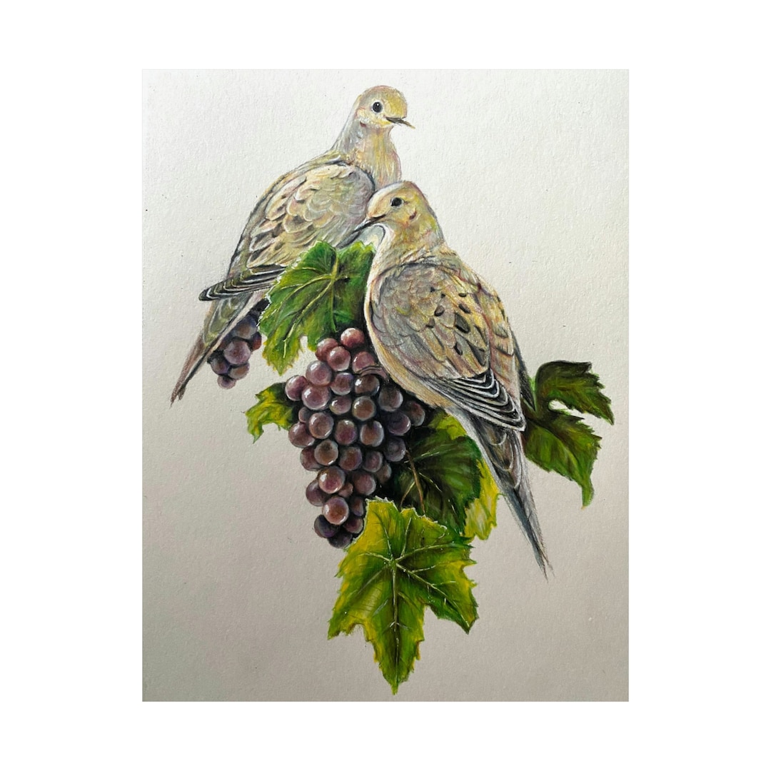 Print of Mourning Dove Illustration - Etsy