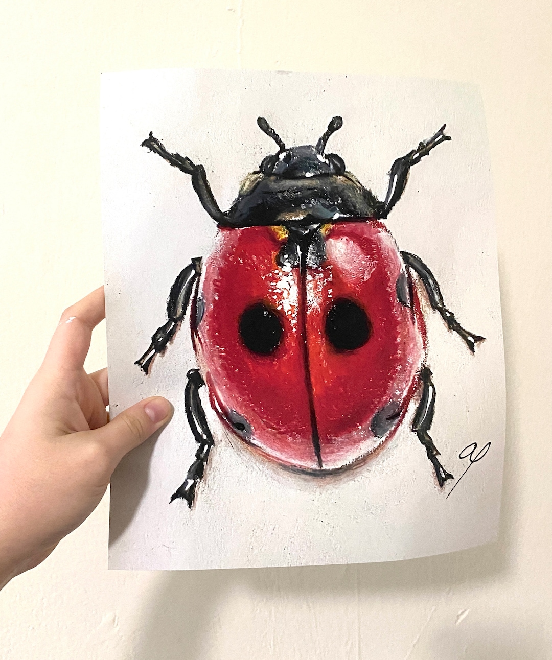 Realistic Ladybug Colored Pencil Drawing - Etsy