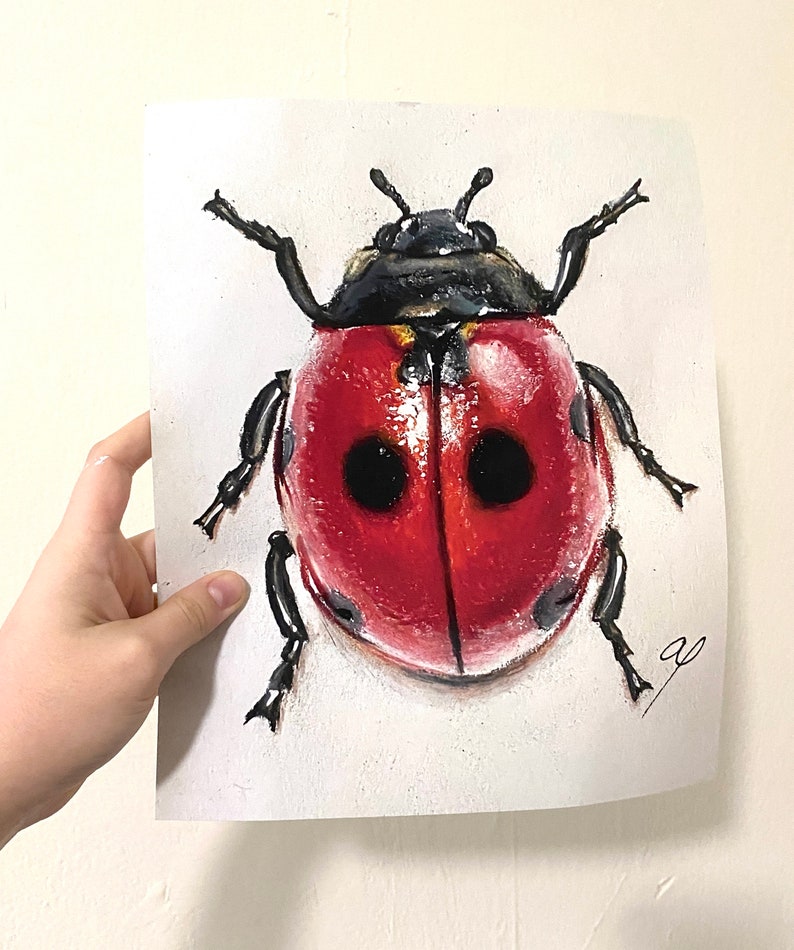 Realistic Ladybug Colored Pencil Drawing - Etsy