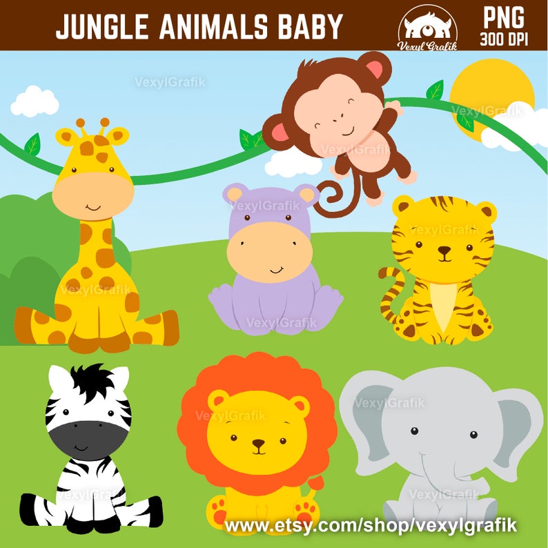 Jungle Animals Baby Clipart, Instant Download PNG Files - 300 Dpi ...