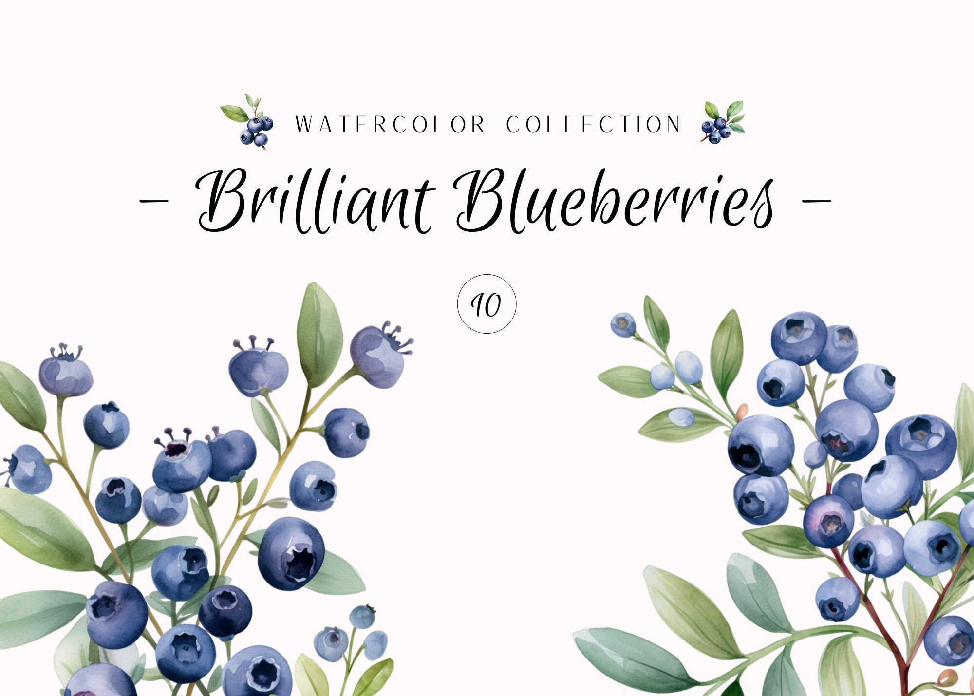 Watercolor Clipart - Brilliant Blueberries - Card Clipart - Blueberry ...