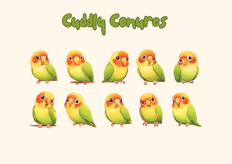 Conure Bird Clipart - Cartoon Parrot Clip Art - Cute Conure Stickers ...