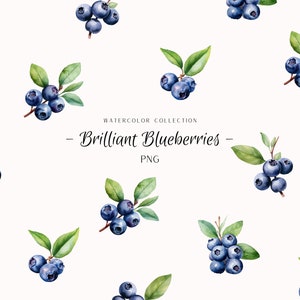 Watercolor Clipart - Brilliant Blueberries - Card Clipart - Blueberry ...