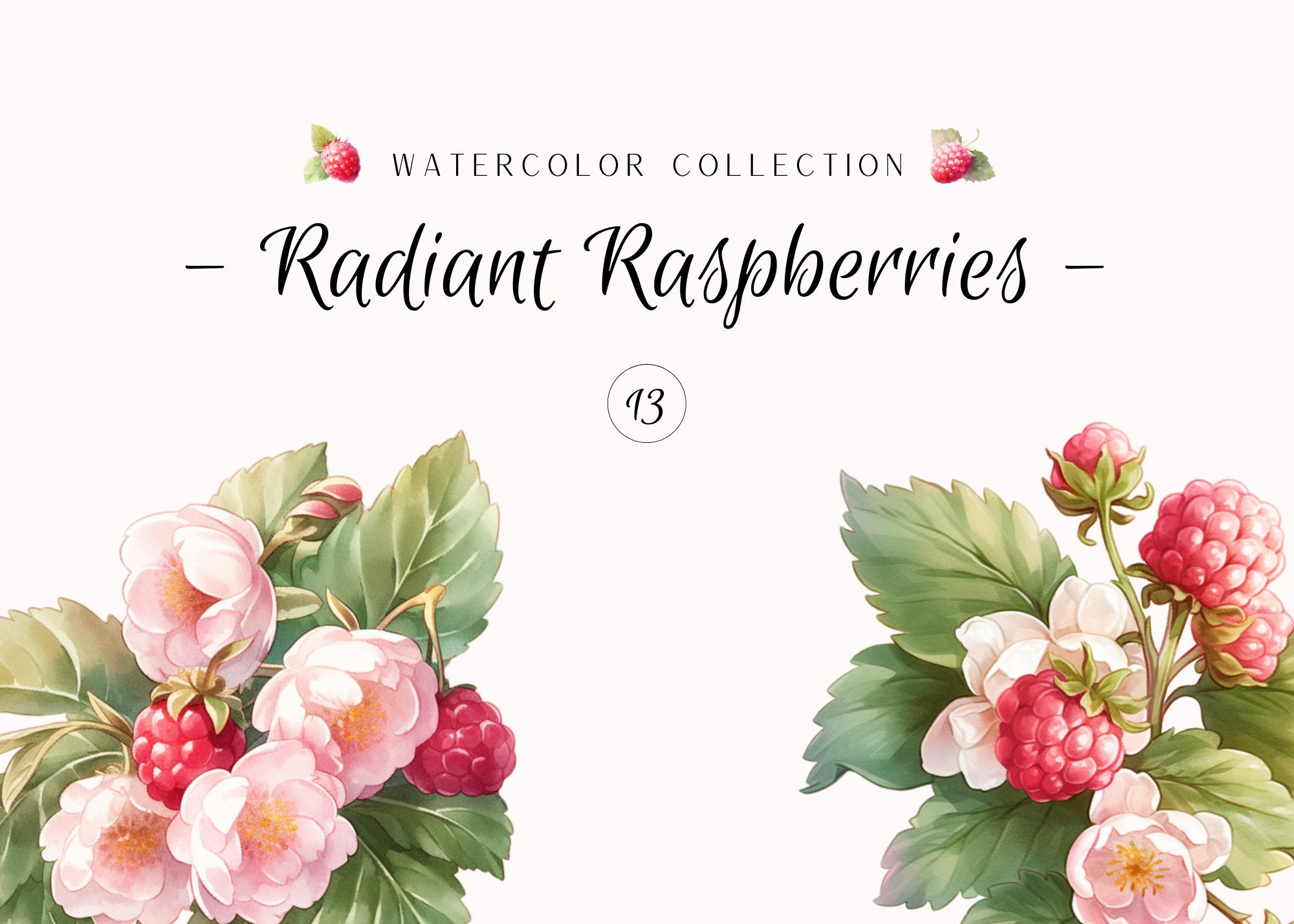 Watercolor Clipart - Radiant Raspberries - Card Clip Art - Instant ...