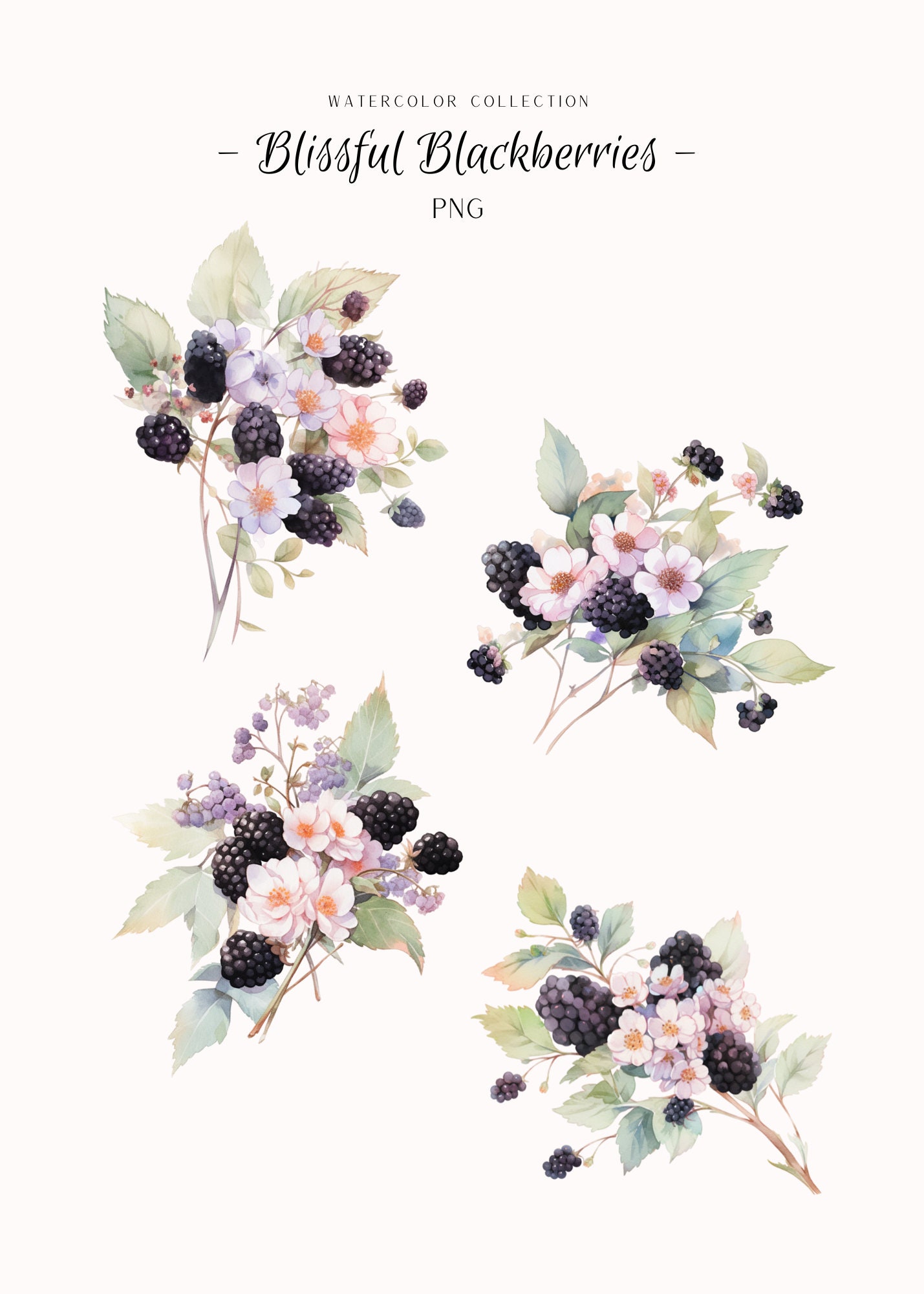 Watercolor Clipart - Blissful Blackberries - Card Clip Art - Instant ...