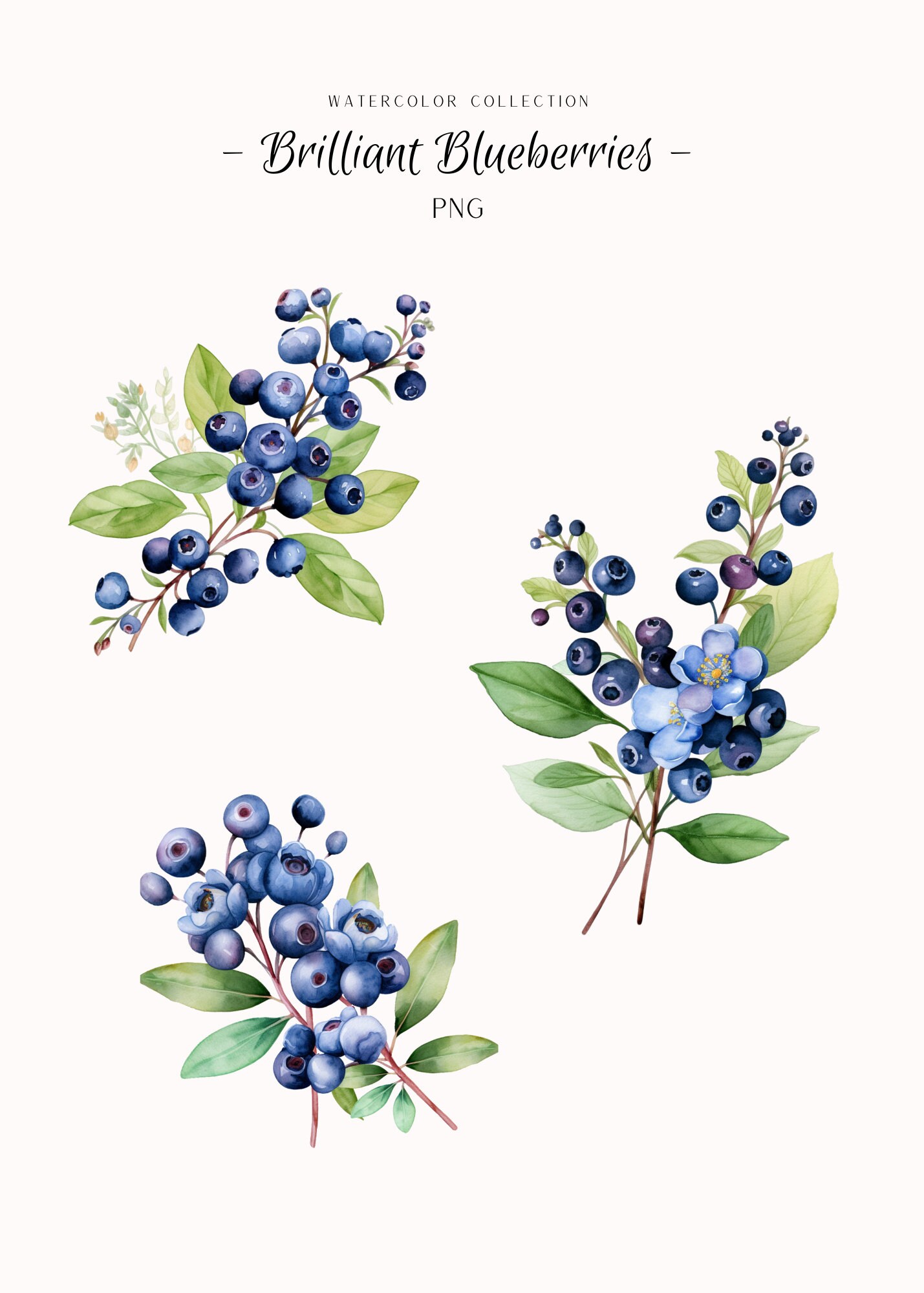 Watercolor Clipart - Brilliant Blueberries - Card Clipart - Blueberry ...