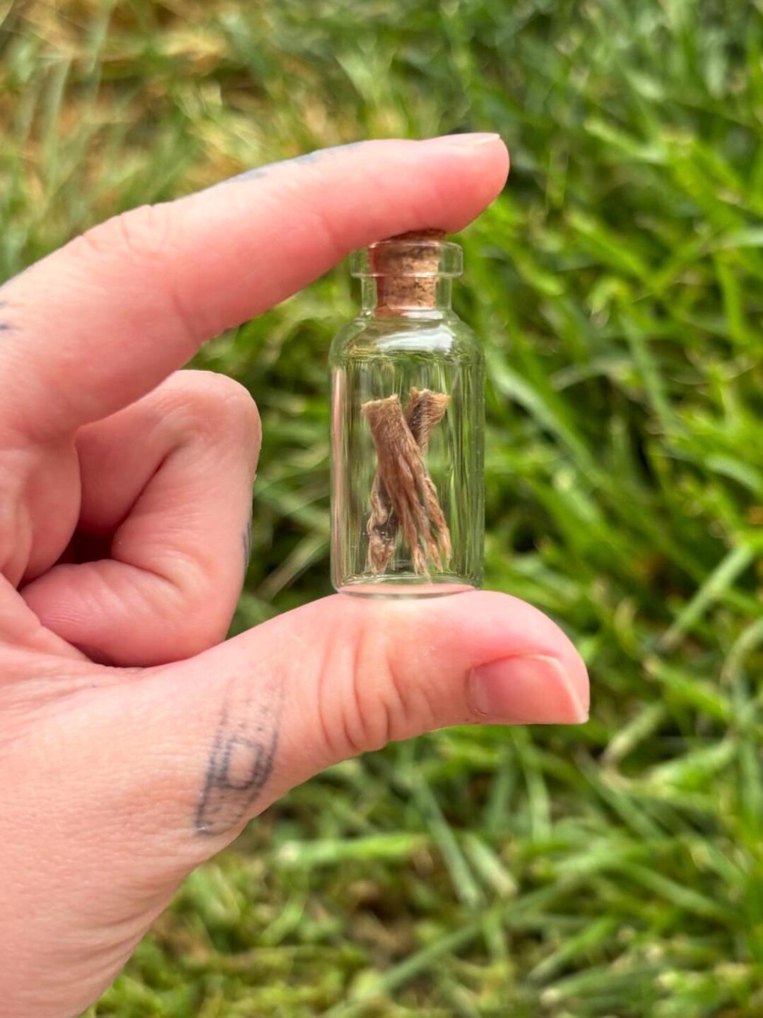 Chipmunk Paw Pair - Etsy