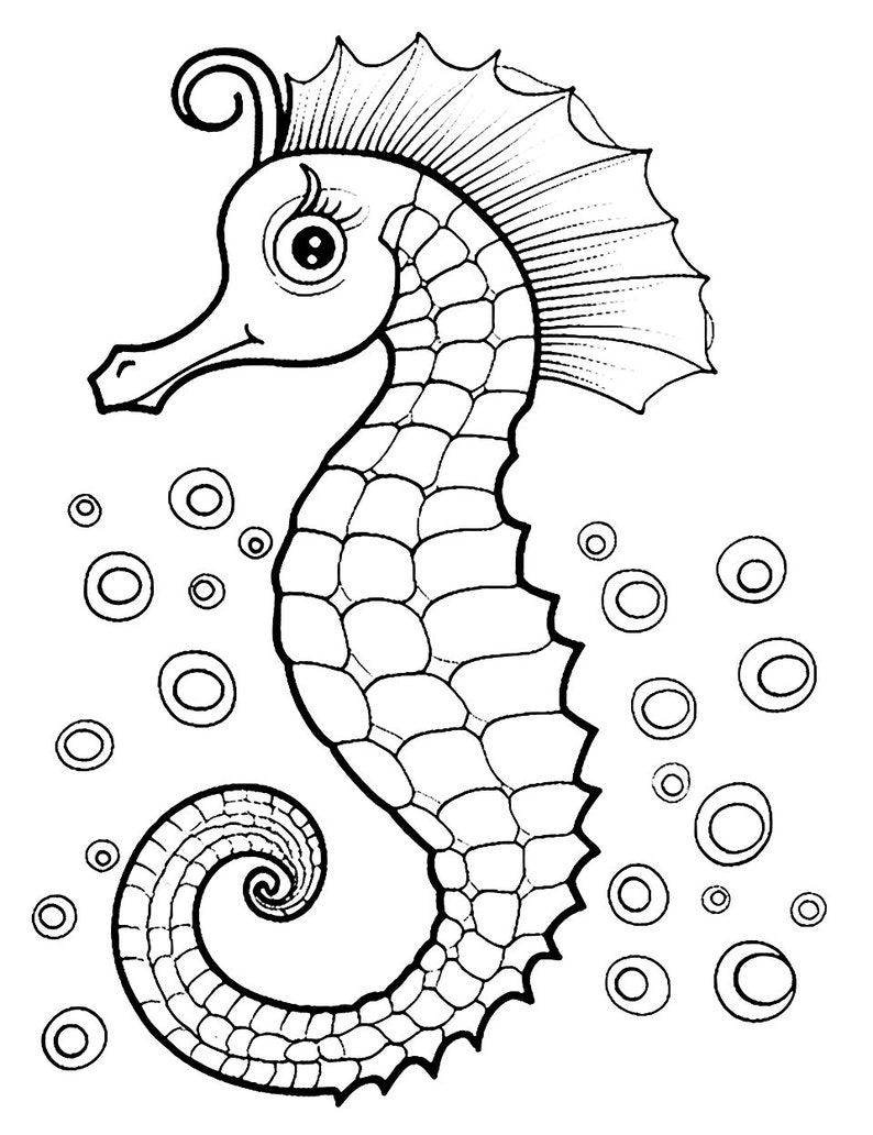 Wild Wonders: an Animal Coloring Adventure - Etsy