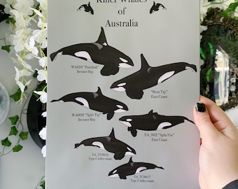 Whales and Dolphins of the West Coast of United States, Mexico and ...