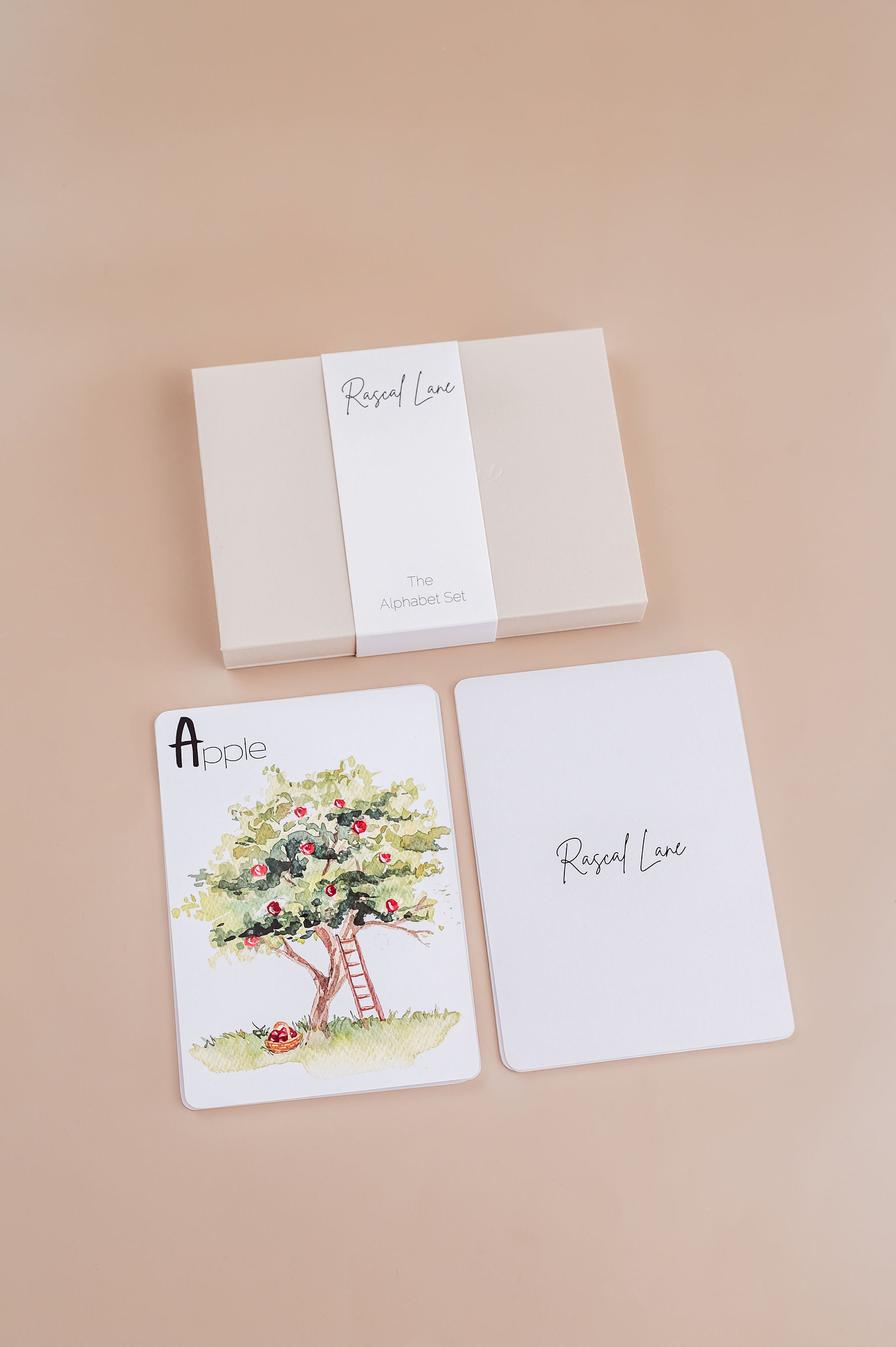 ABC Alphabet Flash Card Set - Etsy