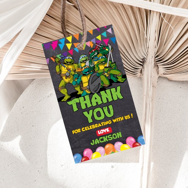 Ninja Turtles Party - Etsy