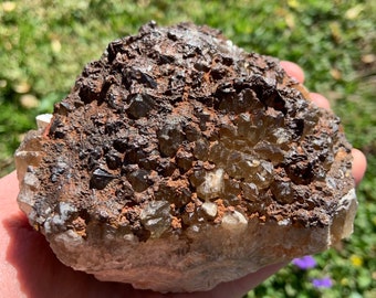 HUGE Root Beer Druzy Quartz on Lace Agate - Large Natural Missouri ...