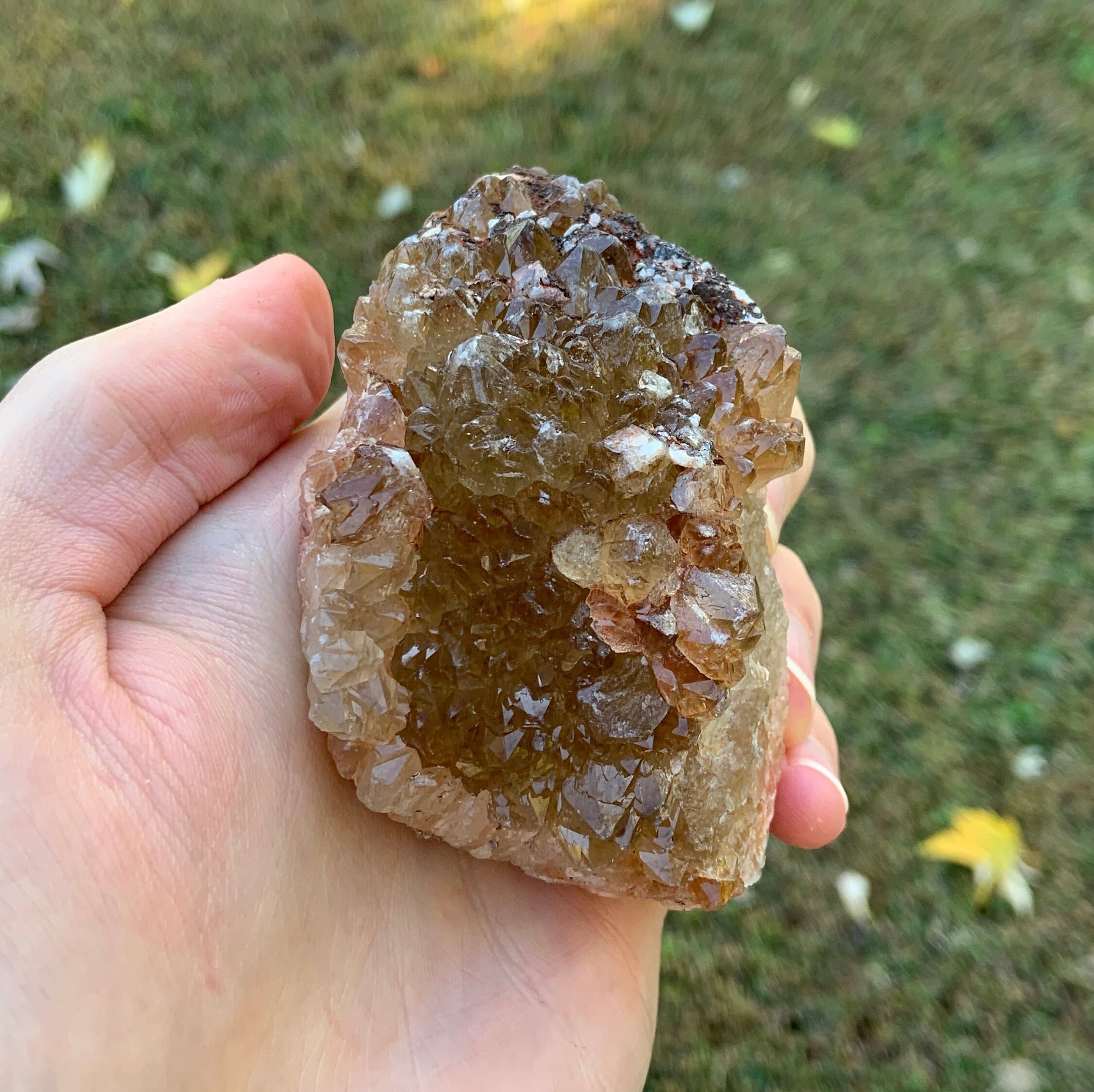 Root Beer Druzy Quartz Crystal Haunted Ridge Missouri Druzy Quartz on ...