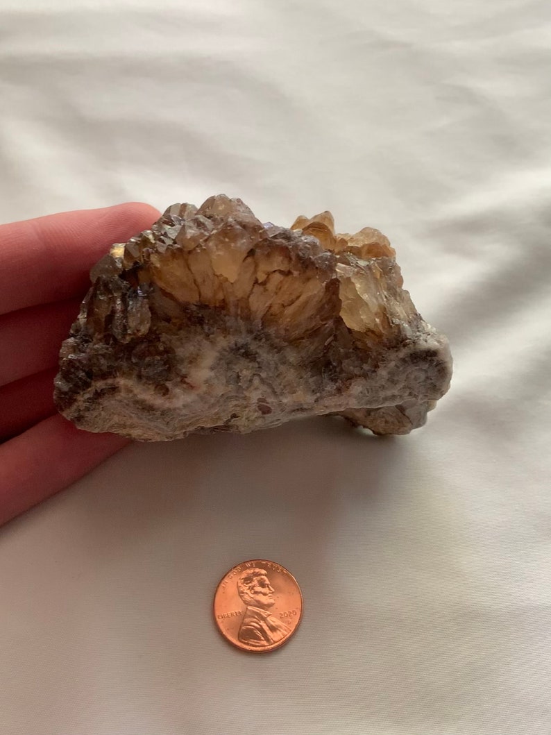 Root Beer Druzy Quartz on Lace Agate Missouri Root Beer - Etsy