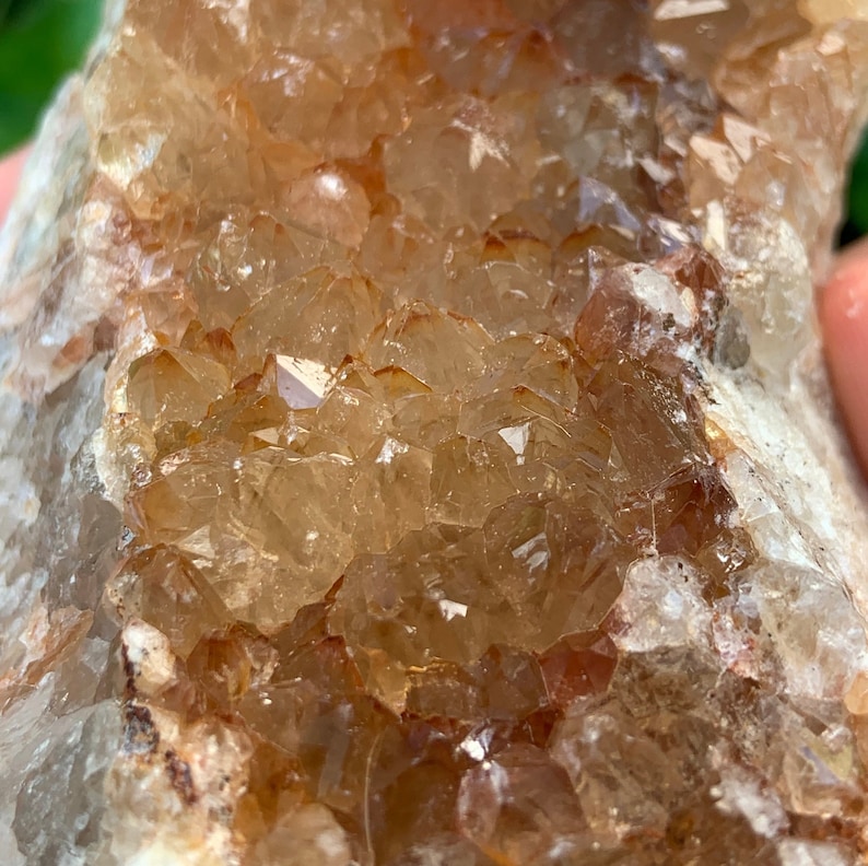 Root Beer Druzy Quartz on Lace Agate Large Missouri Quartz - Etsy