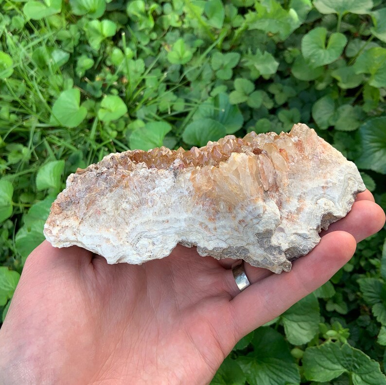 Root Beer Druzy Quartz on Lace Agate Large Missouri Quartz - Etsy