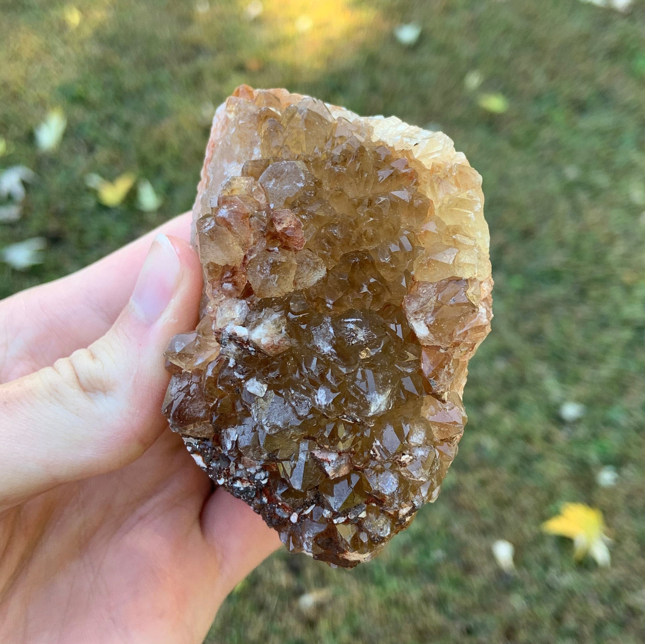 Root Beer Druzy Quartz Crystal Haunted Ridge Missouri Druzy Quartz on ...