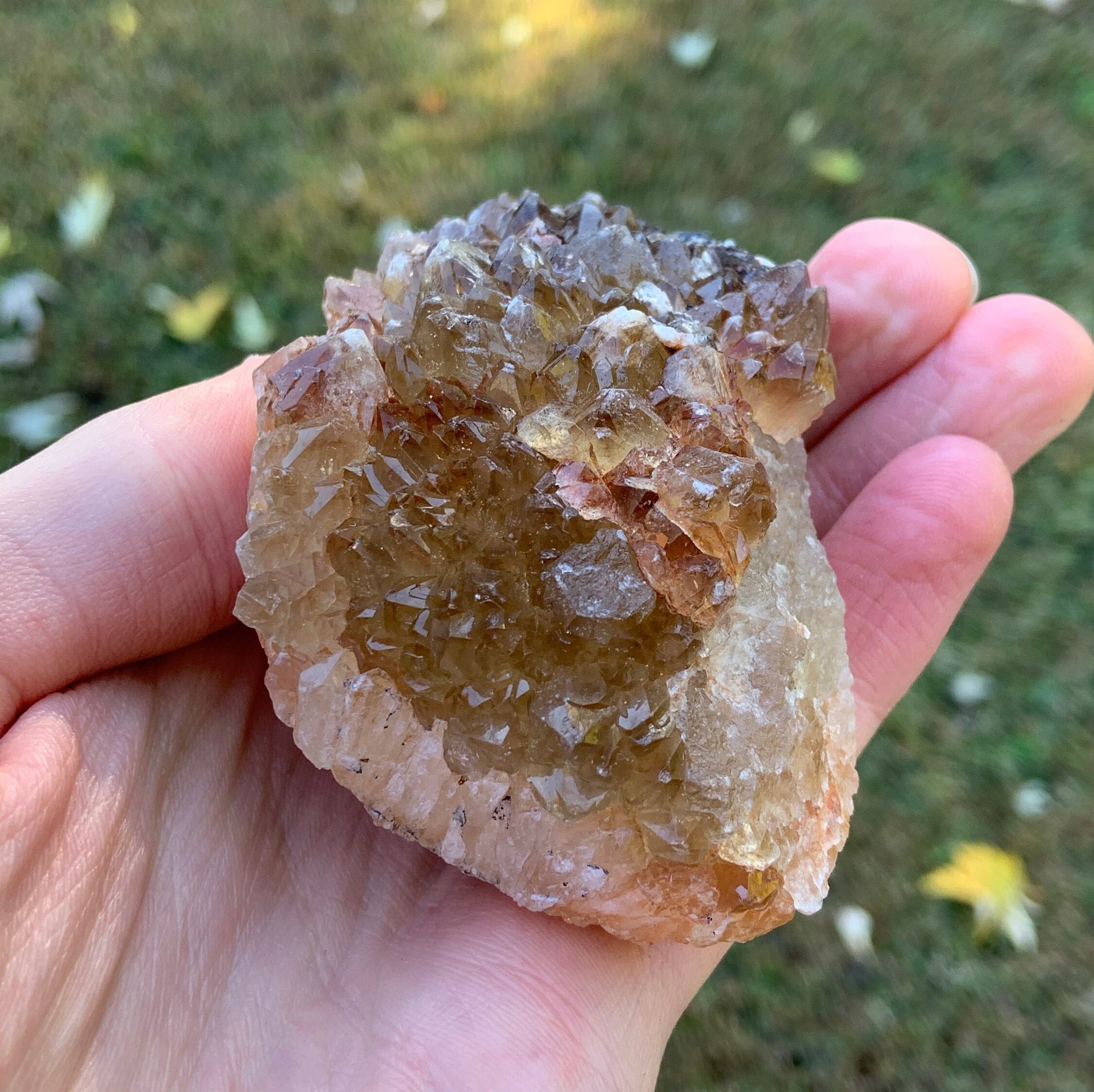 Root Beer Druzy Quartz Crystal Haunted Ridge Missouri Druzy Quartz on ...