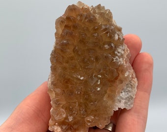 HUGE Root Beer Druzy Quartz on Lace Agate - Large Natural Missouri ...
