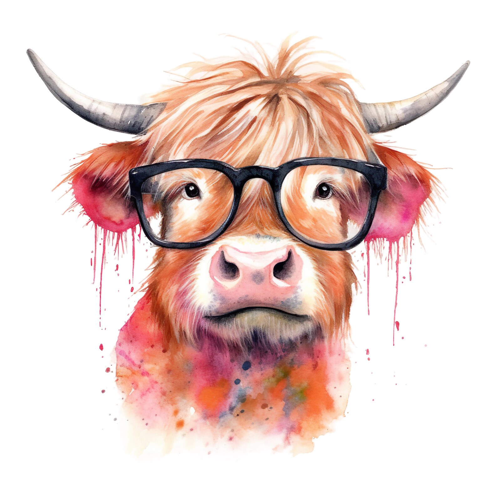 Funny Highland Cow Clipart Bundle, Cute Animal Clipart, Highland Cow ...