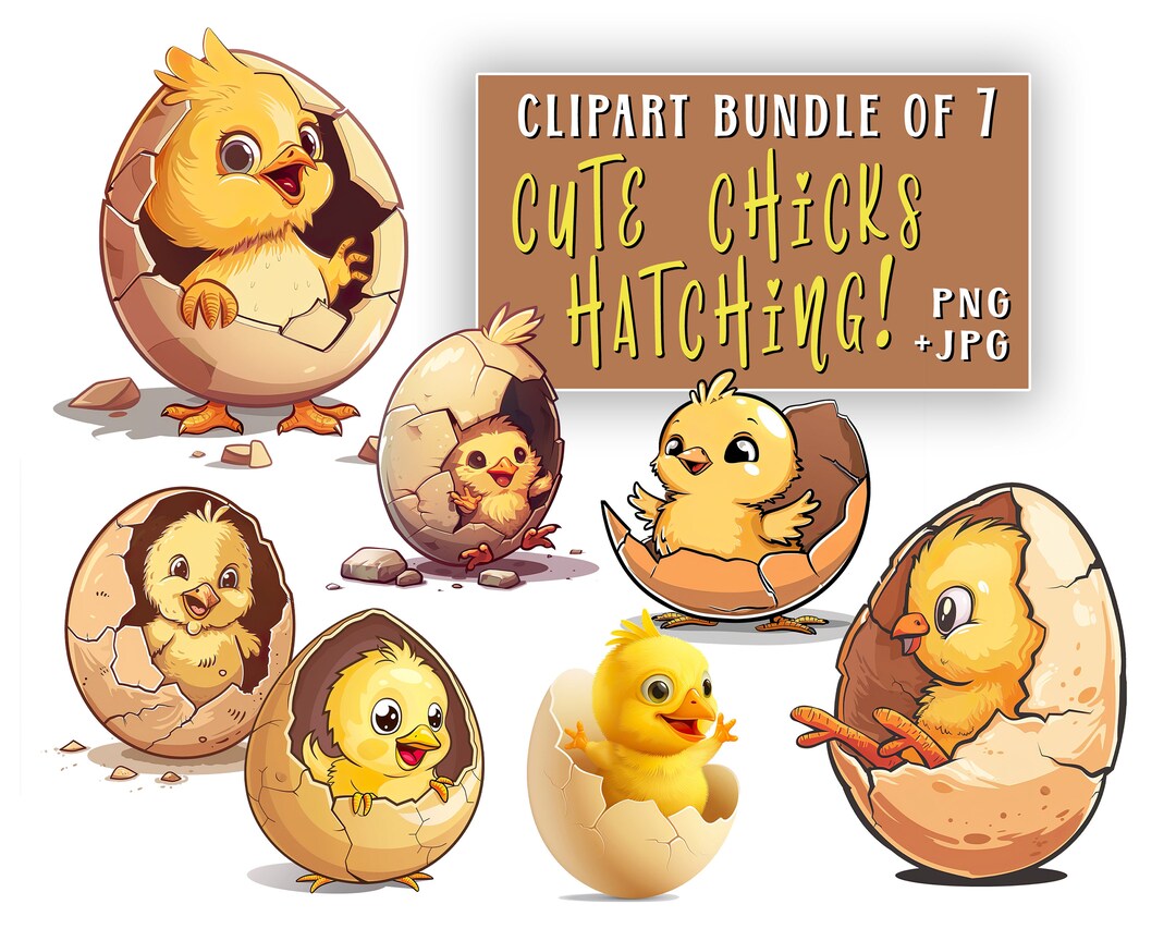 Cute Chicken Chicks Hatching Out of an Egg, Clipart Bundle of 7, Baby ...