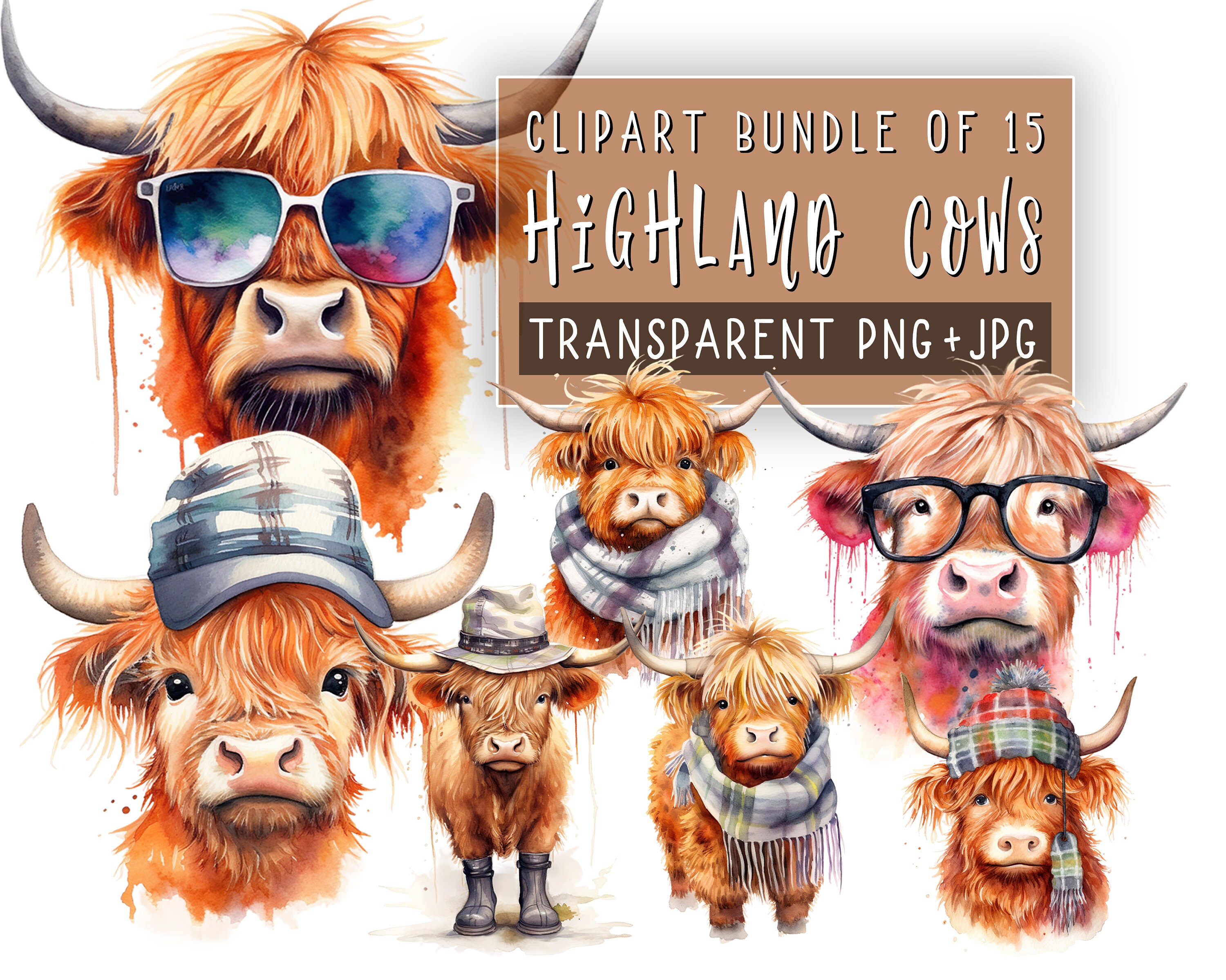 Funny Highland Cow Clipart Bundle, Cute Animal Clipart, Highland Cow ...