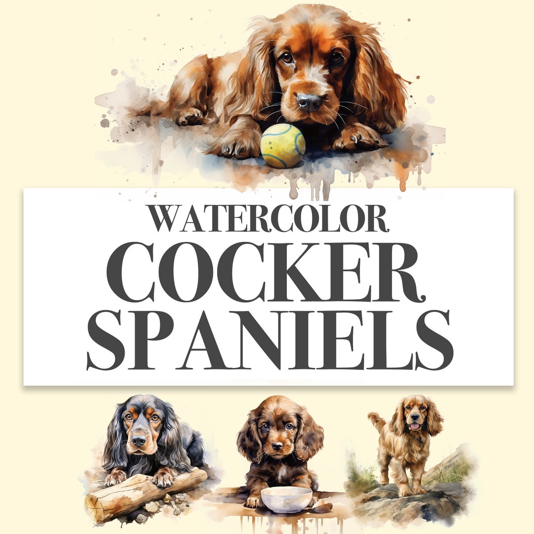 Watercolor Cocker Spaniels, 32 Images, 8k, High-resolution, PNG Format ...