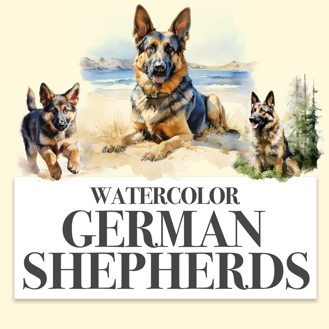Watercolor German Shepherds, 45 Images, 8k, High-resolution, PNG Format ...