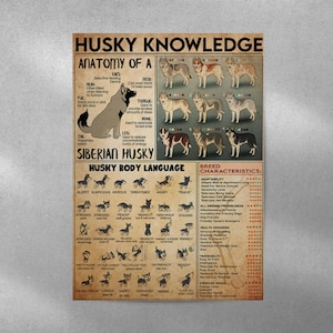 Husky Knowledge Anatomy of A Siberian Husky Breed Poster and Canvas - Etsy