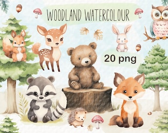 Watercolor Clipart, Woodland Animals Clipart, Forest Animal Clipart ...