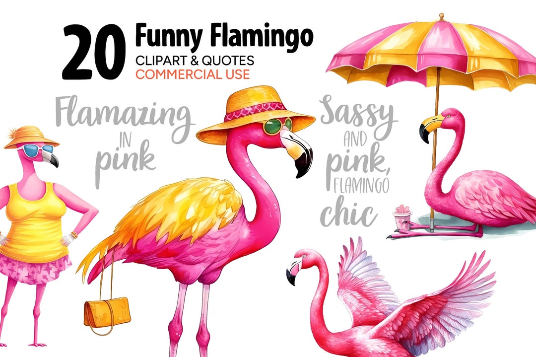 Funny Pink Flamingo Watercolor Clipart & Quotes, Individual PNG SVG ...